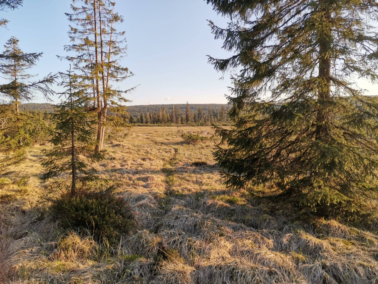 Webová kamera / Galerie :: Pešákovna - horská chata na Jizerce